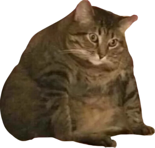 Cat Overlord Dashboard